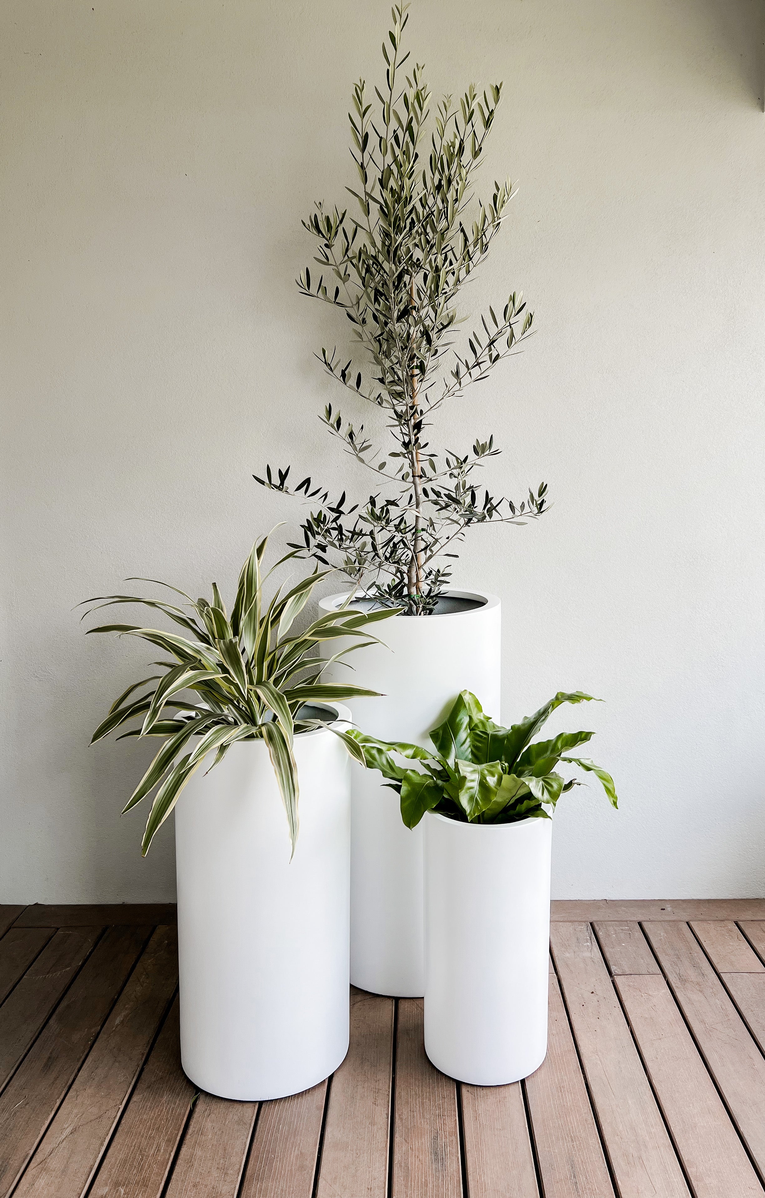 Tube Pots – Plant Resort